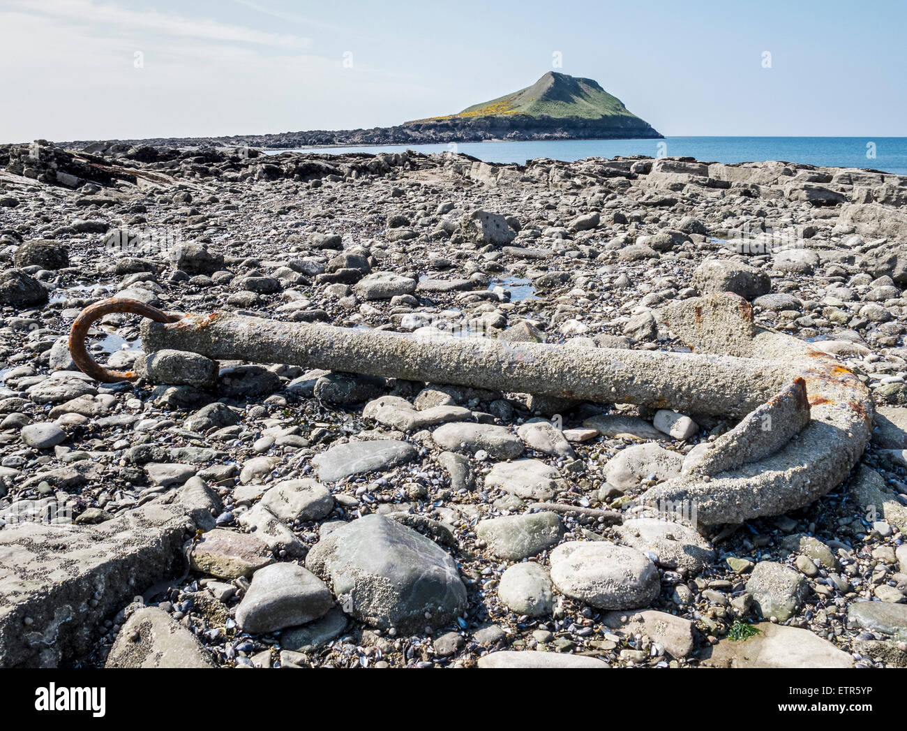 Anchor Worms High Resolution Stock Photography and Images - Alamy