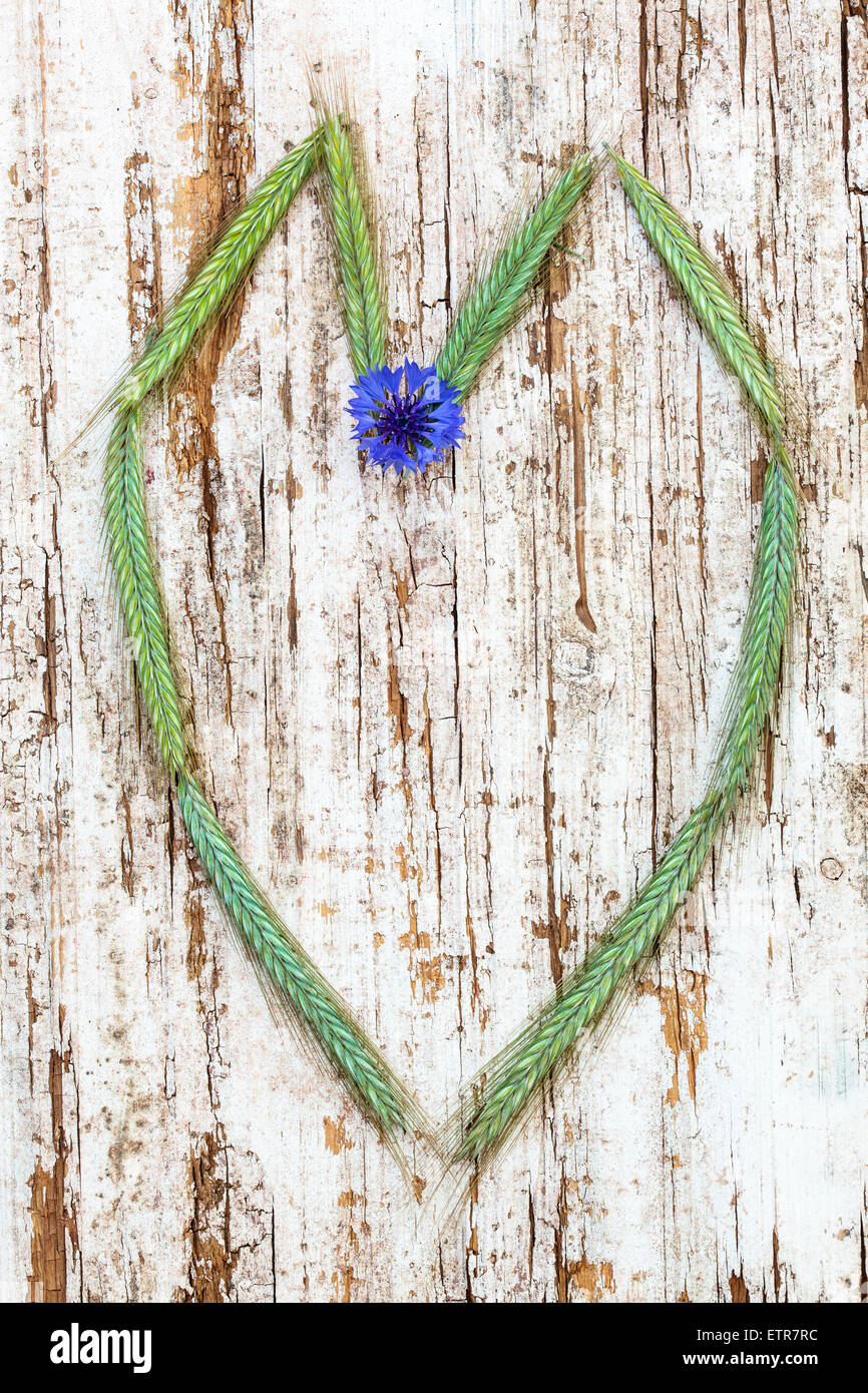 Heart made of grain ears, cornflower Stock Photo - Alamy