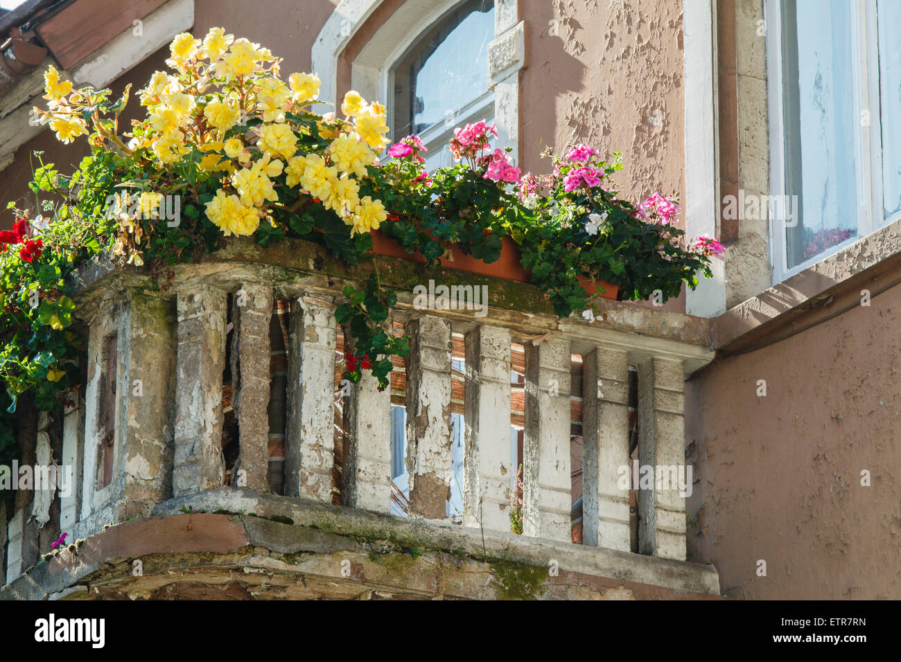 Old building pink flowers hi-res stock photography and images - Alamy