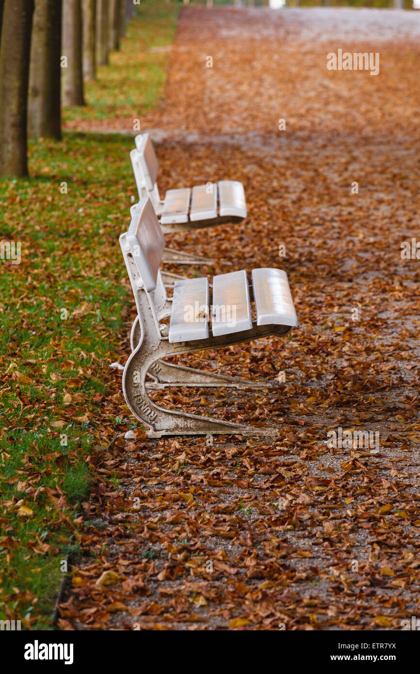 Two Park benches in an autumnal park Stock Photo - Alamy