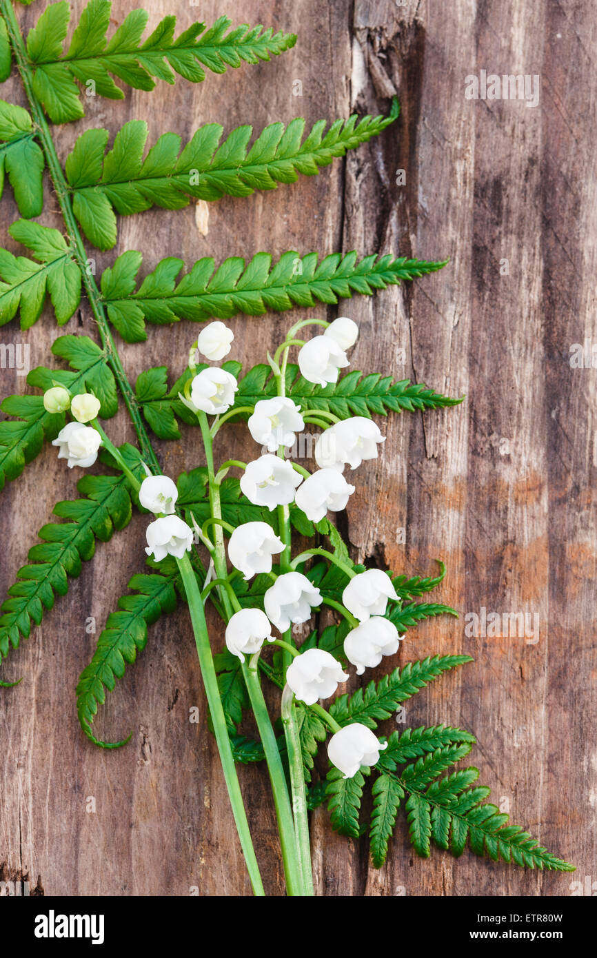 wooden background, frond, lily of the valley Stock Photo - Alamy