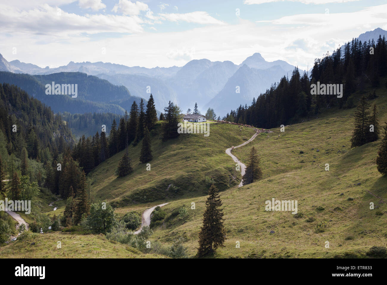 Alp for milk production in Berchtesgadener Land, Germany, Bavaria ...