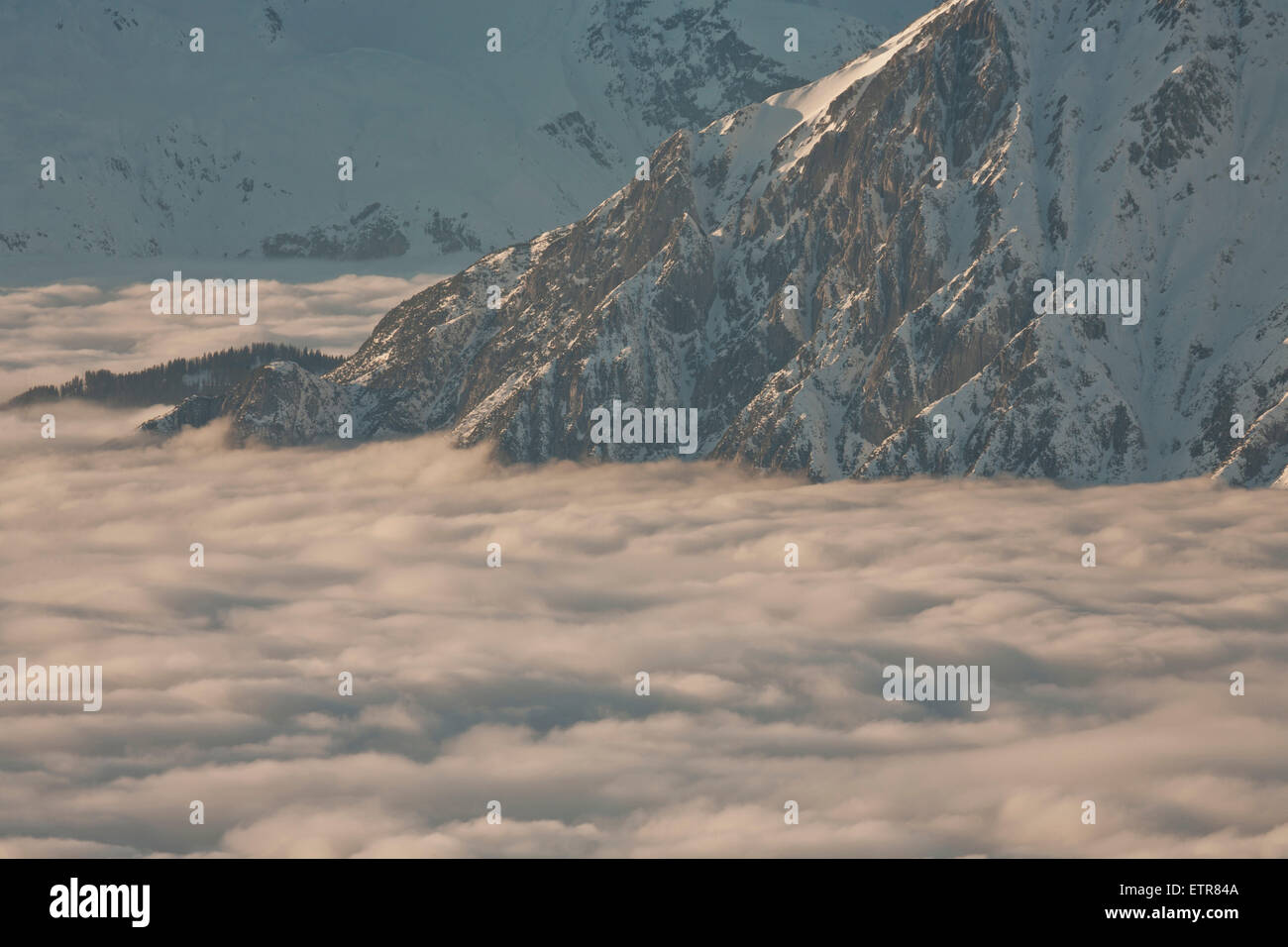 Mountain over the clouds, Austria, Tyrol, Lechtal Alps Stock Photo - Alamy