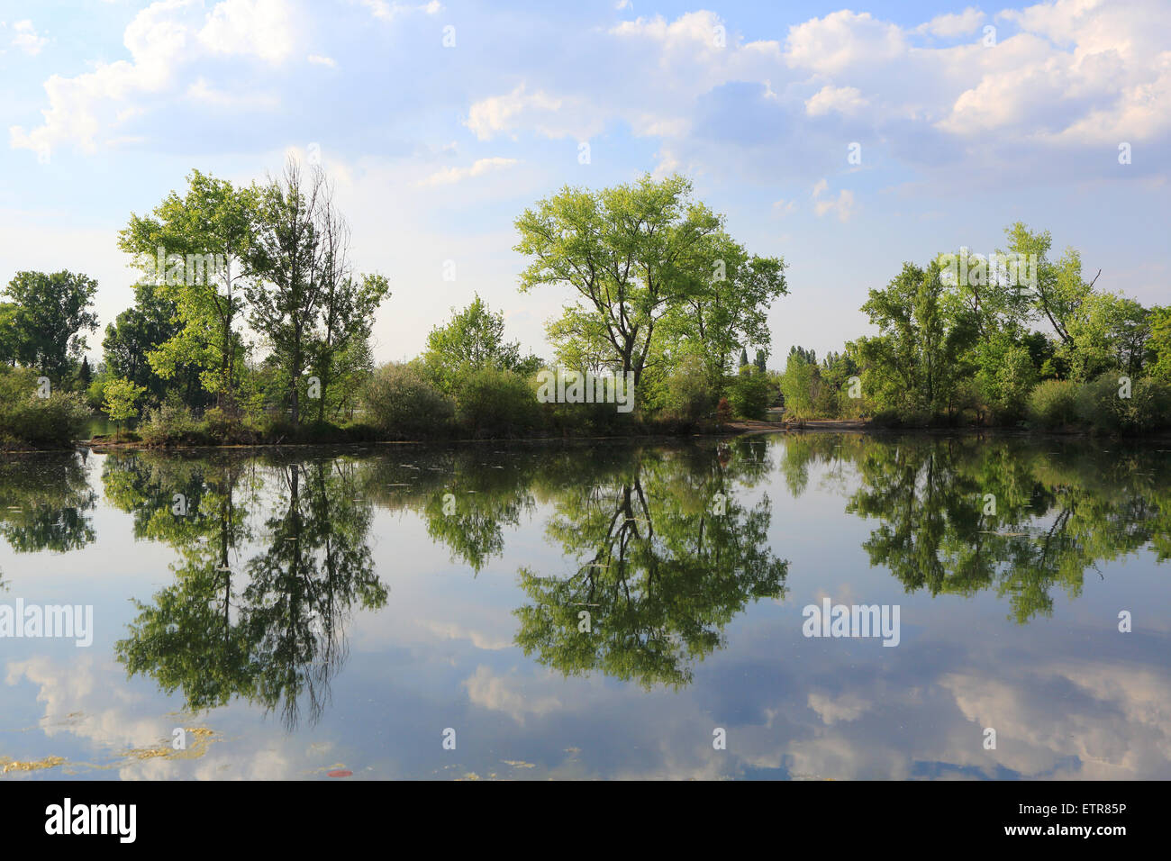 Wetlands scenery in spring Stock Photo - Alamy