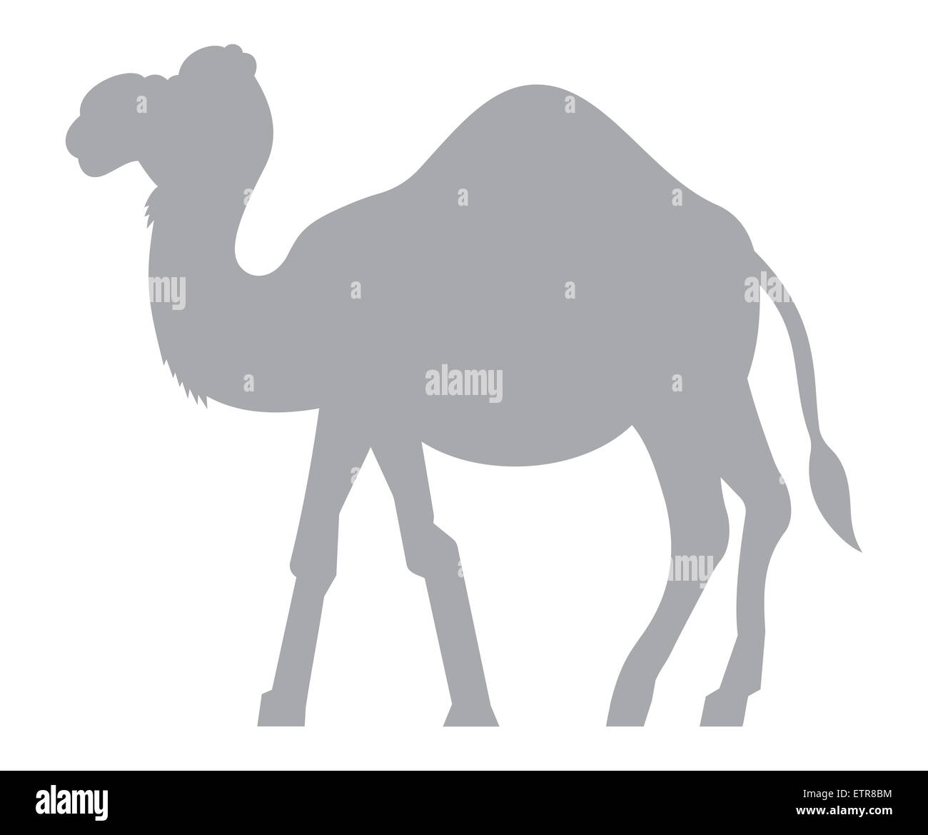 Camel design hi-res stock photography and images - Alamy