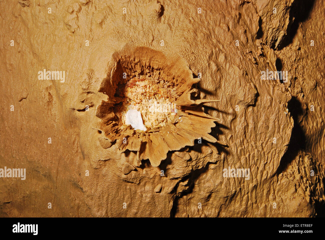 Water dripping point at Clay ground in a cave Stock Photo - Alamy
