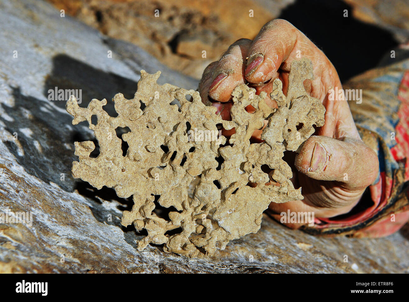 Cave explorer holds a sculpture from sandstone depositions in the hand ...
