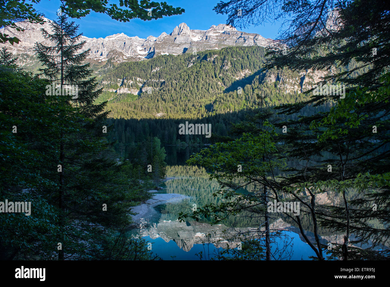 Lago di Tovel with Brenta Stock Photo - Alamy