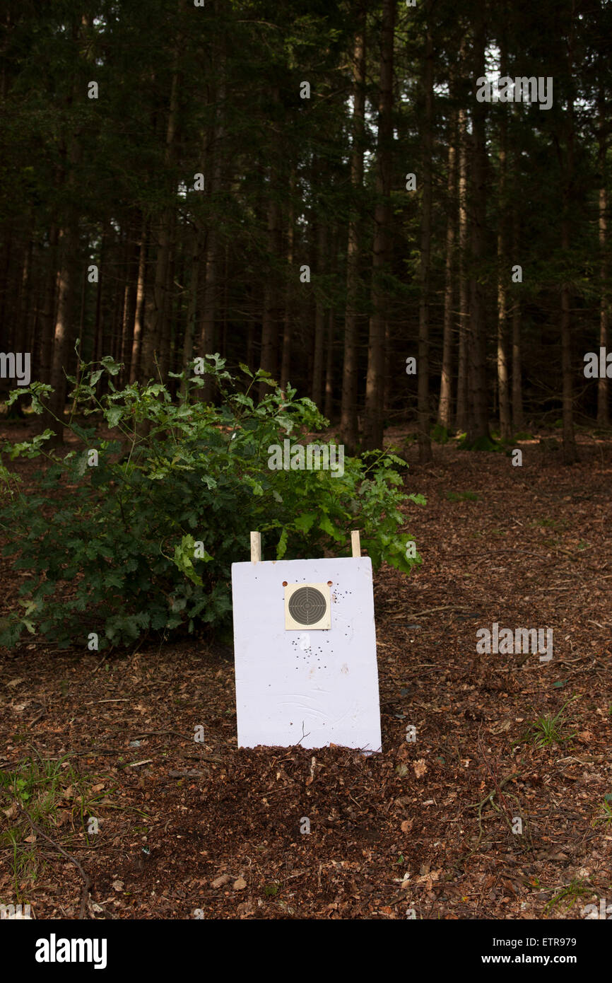 Target in a forest Stock Photo - Alamy