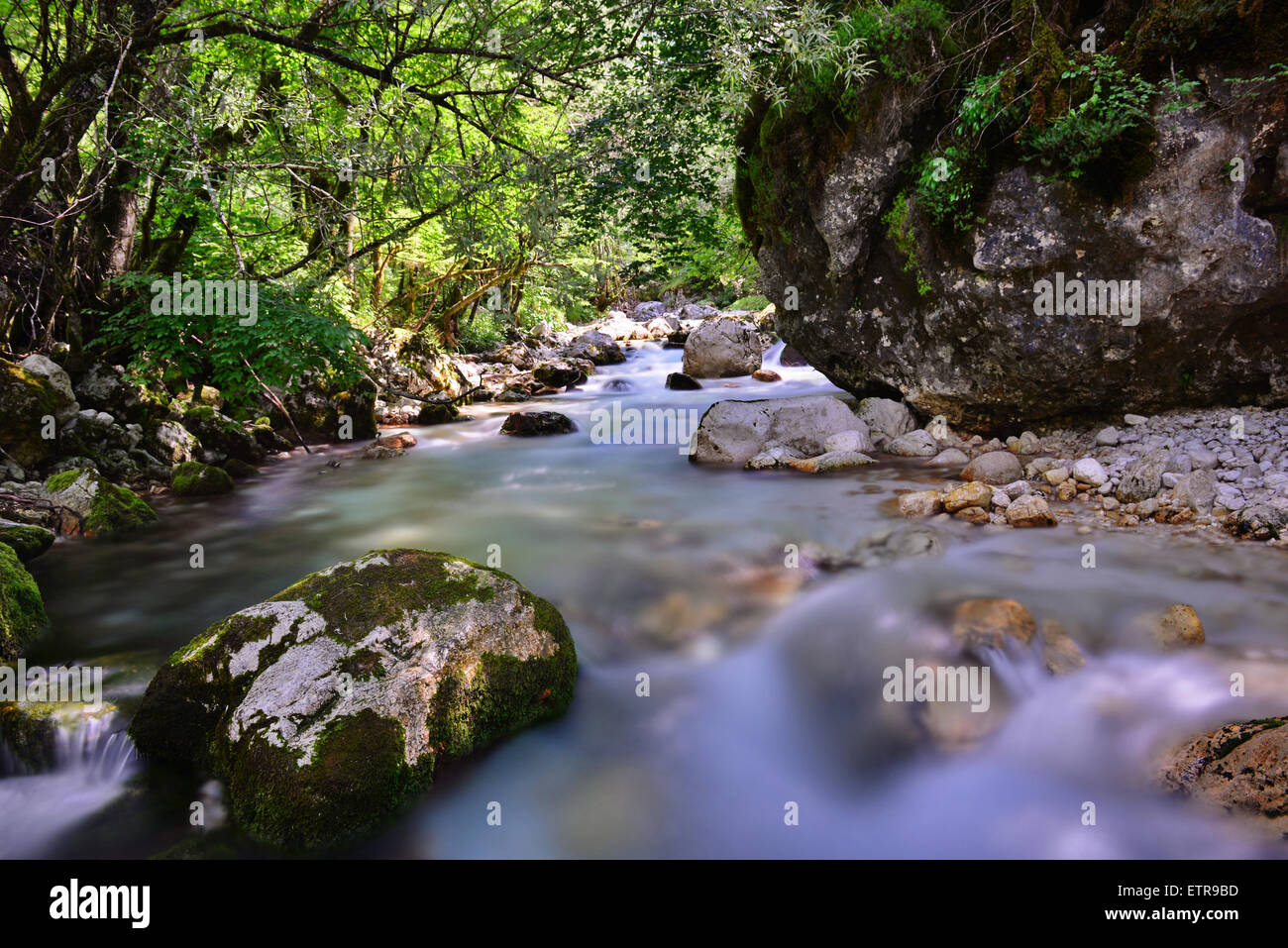 Romantic running water of a stream course Stock Photo - Alamy
