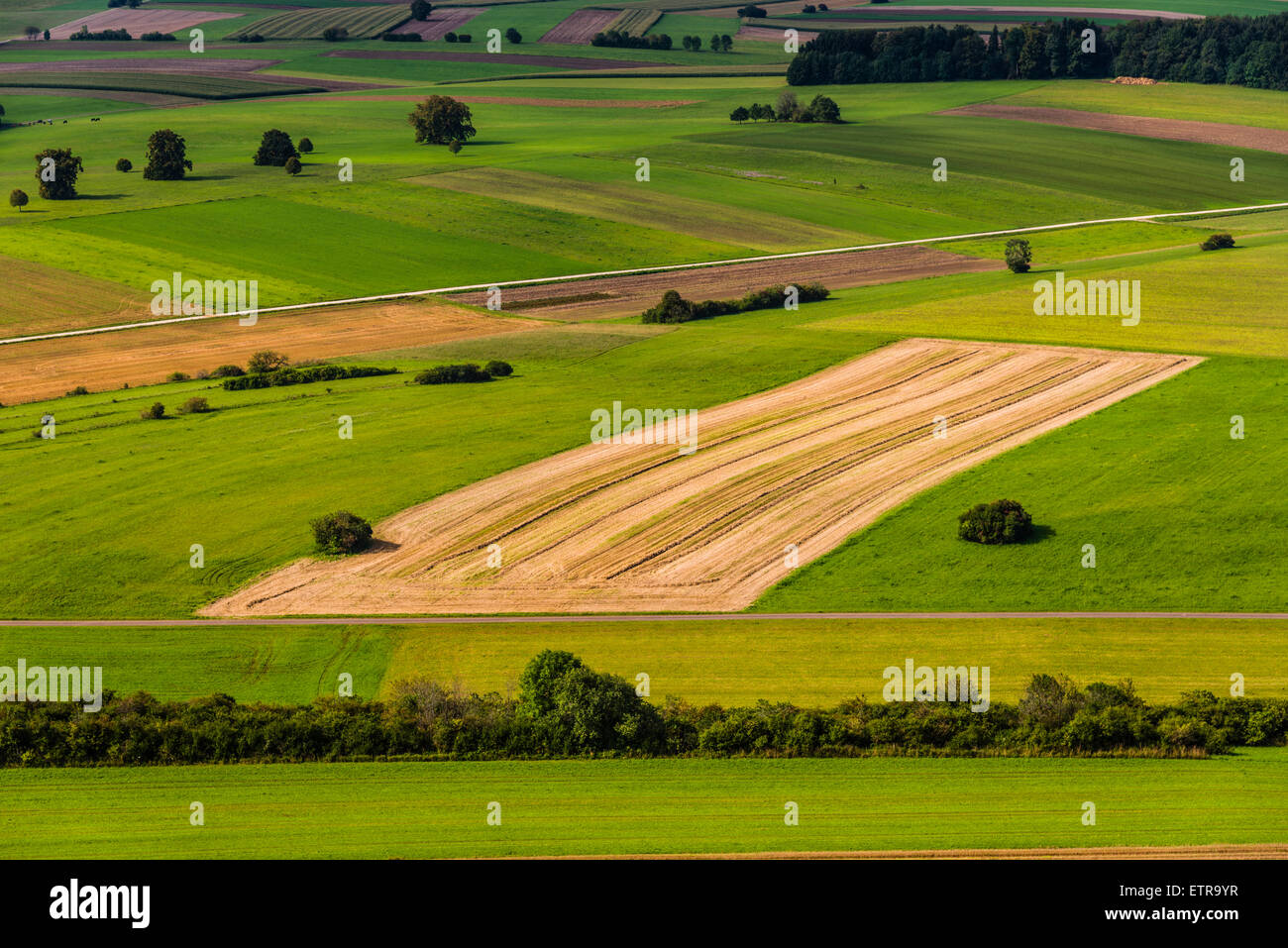 Germany, Baden-Wurttemberg, Swabian Alp, Mittlere Kuppenalb ...
