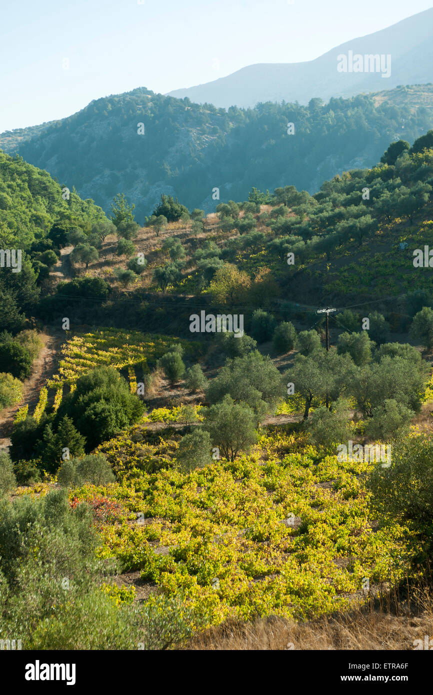 Embonas hi-res stock photography and images - Alamy