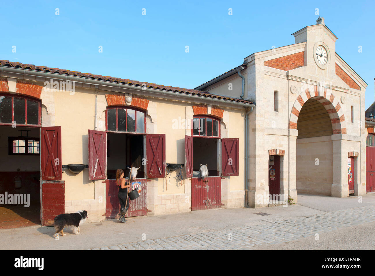 Haras national de montier hi-res stock photography and images - Alamy