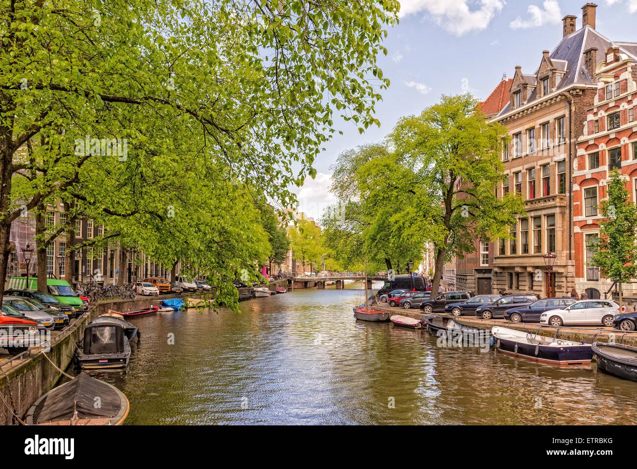 Overarching tree hi-res stock photography and images - Alamy
