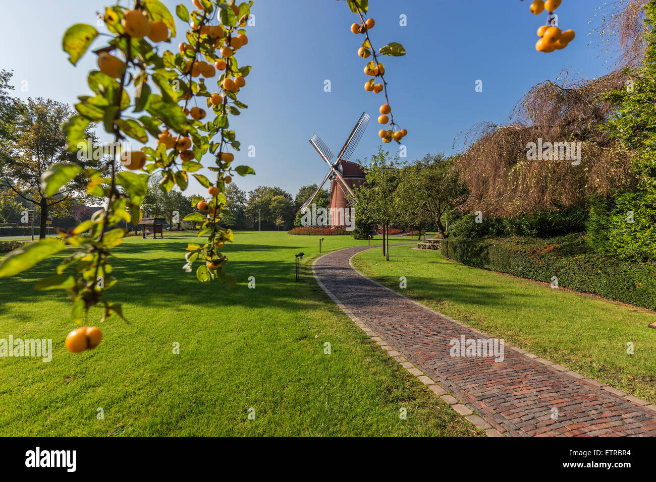 Anew built 'Rügenwalder Mühle' (windmill), Hallmark of sausages ...