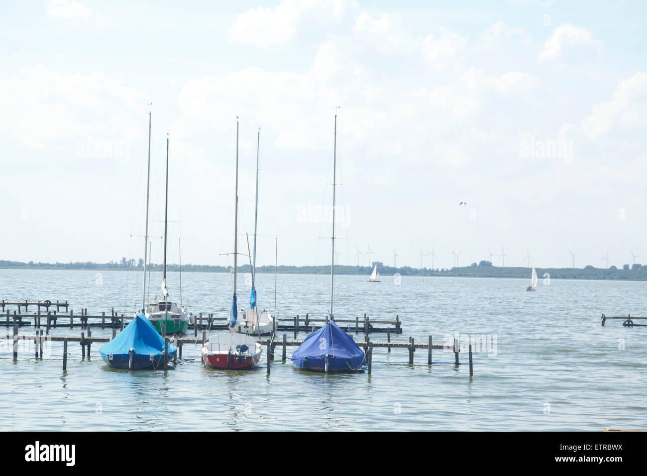 Lembruch, marina at Dümmersee Stock Photo - Alamy