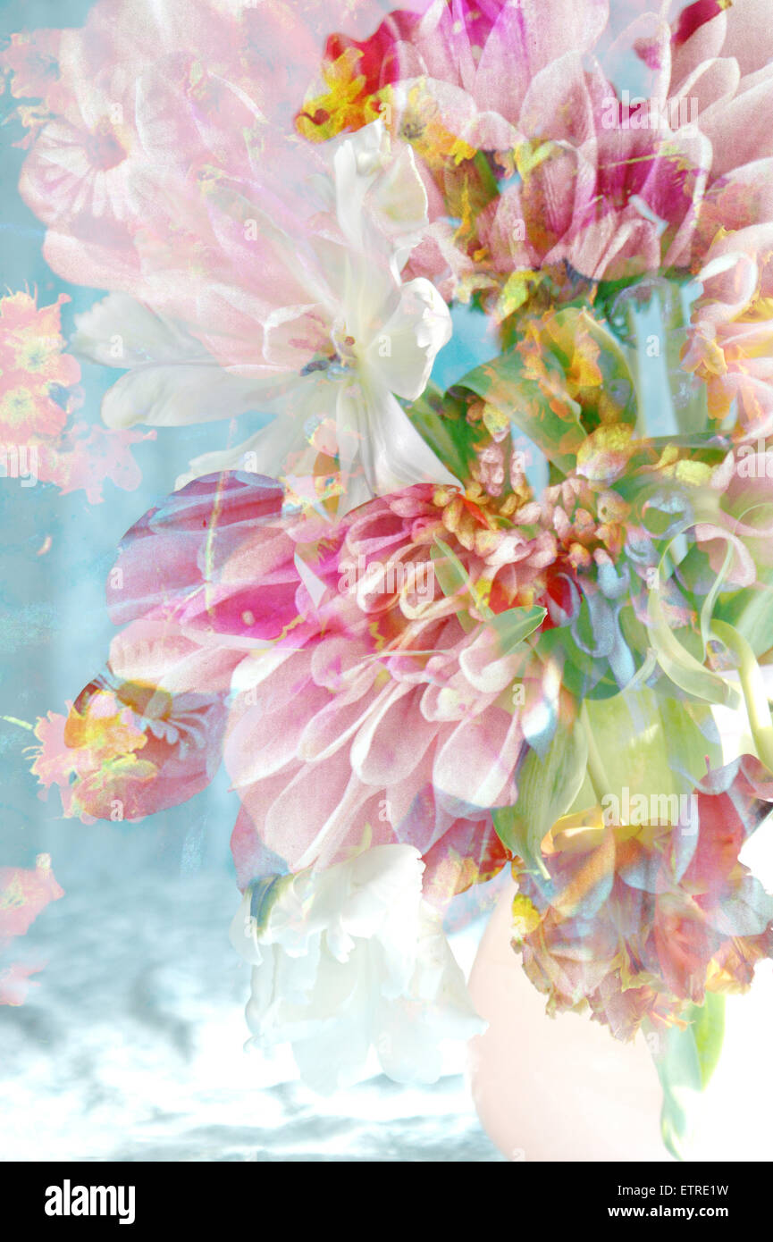 A Floral Montage Stock Photo - Alamy