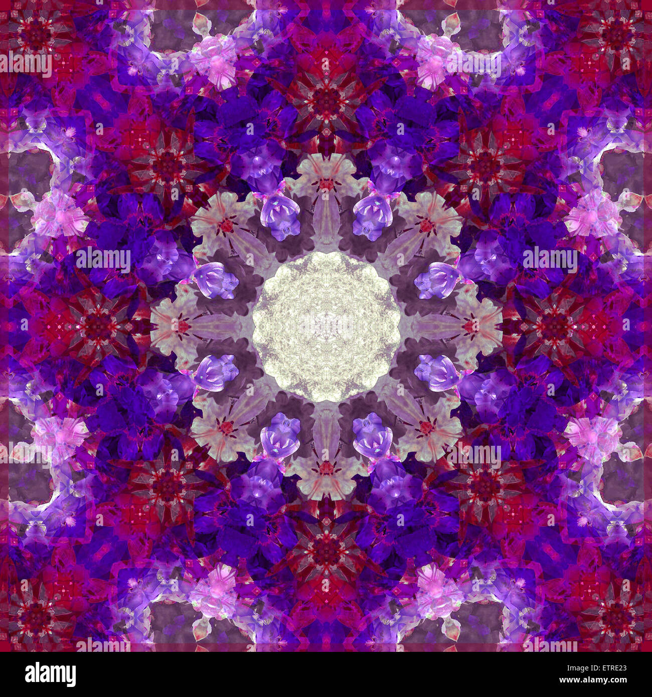 A many layered Flower Mandala Stock Photo - Alamy