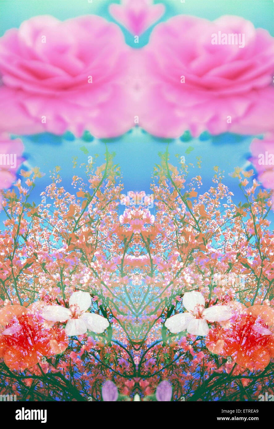 A Floral Montage of flowers and trees Stock Photo - Alamy
