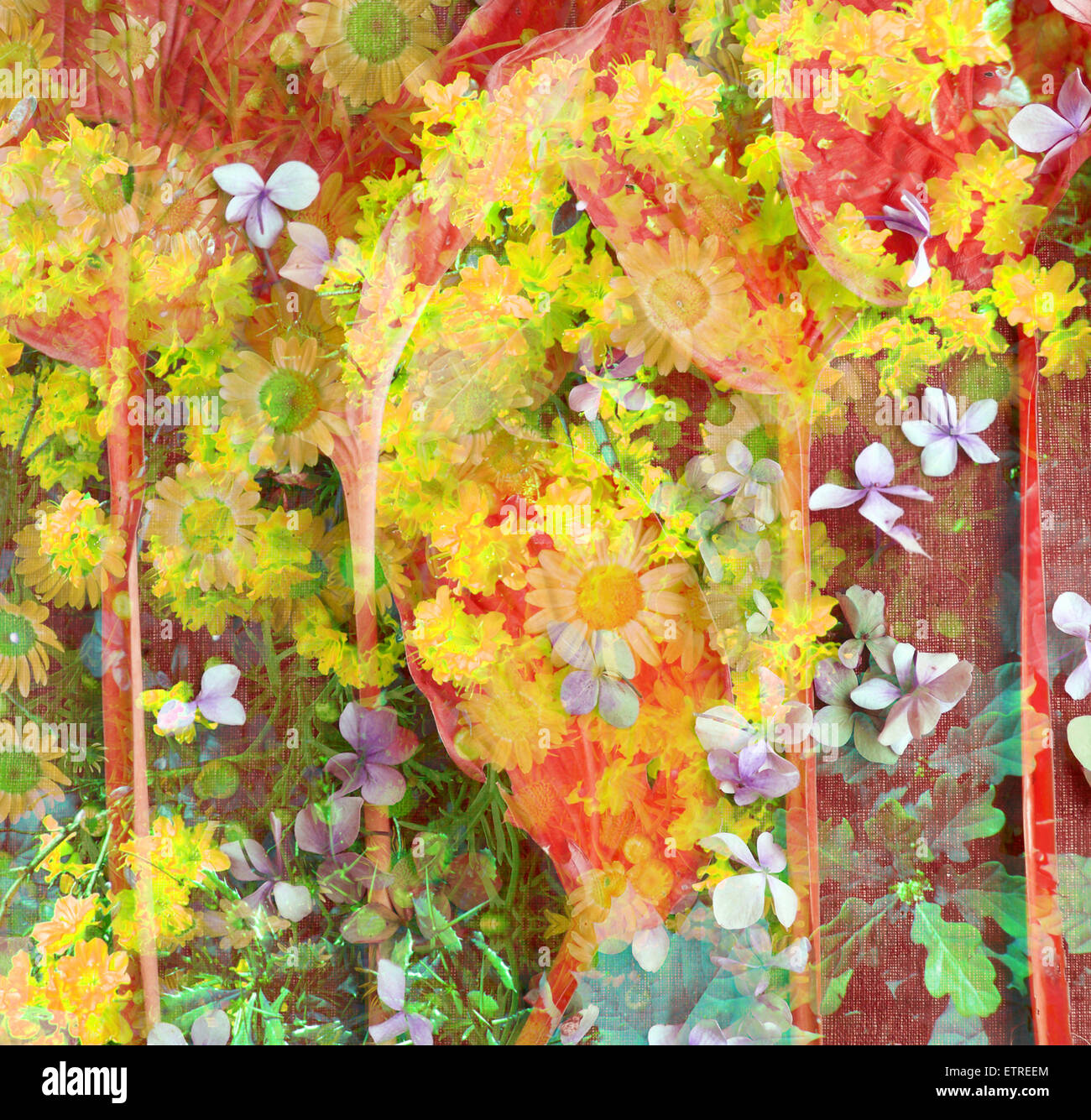 A Floral Montage Stock Photo - Alamy