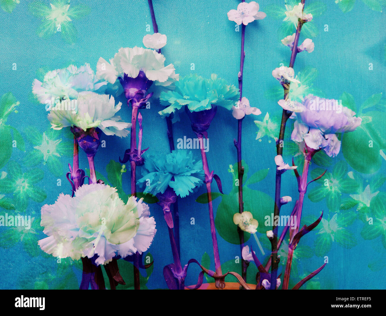 A Floral Montage Stock Photo - Alamy