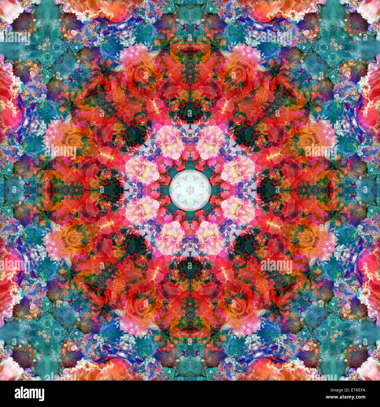 symmetric floral montage from red blooming rose blossom with cherry ...
