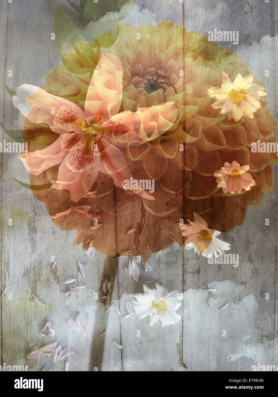 A Floral Montage Stock Photo - Alamy