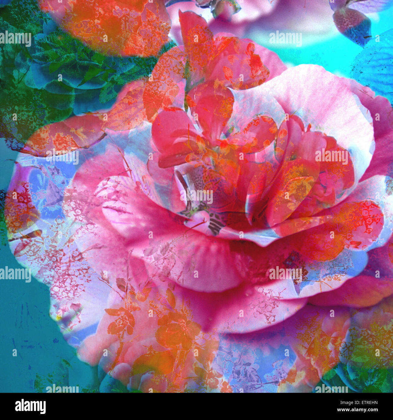 composition with flowers Stock Photo - Alamy