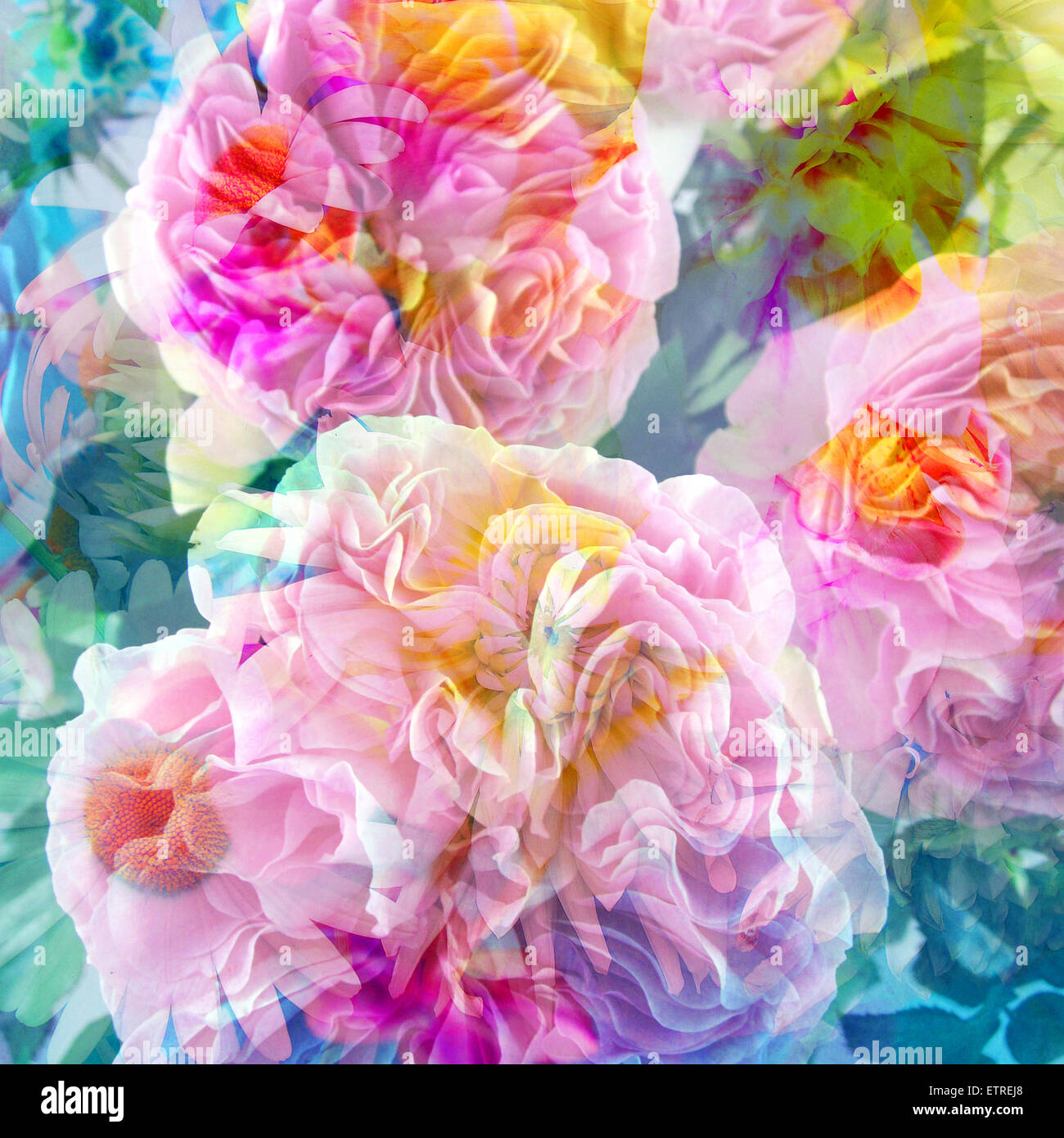 composition with flowers Stock Photo - Alamy