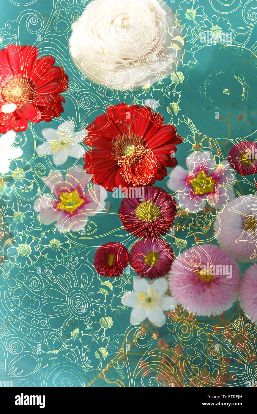 Mau design hi-res stock photography and images - Alamy