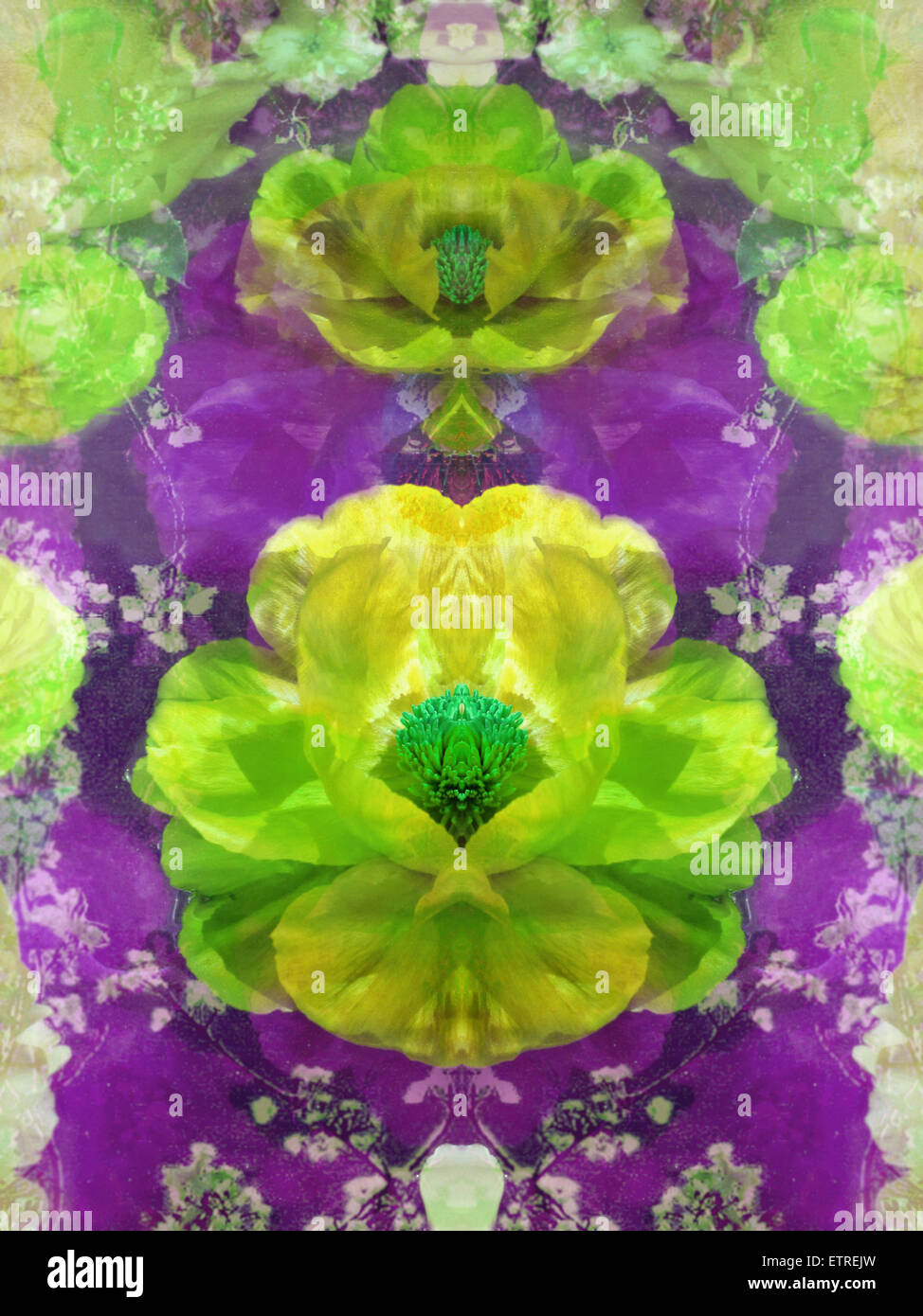 An impressionistic and dreamy Floral Montage, delicate layer work from ...