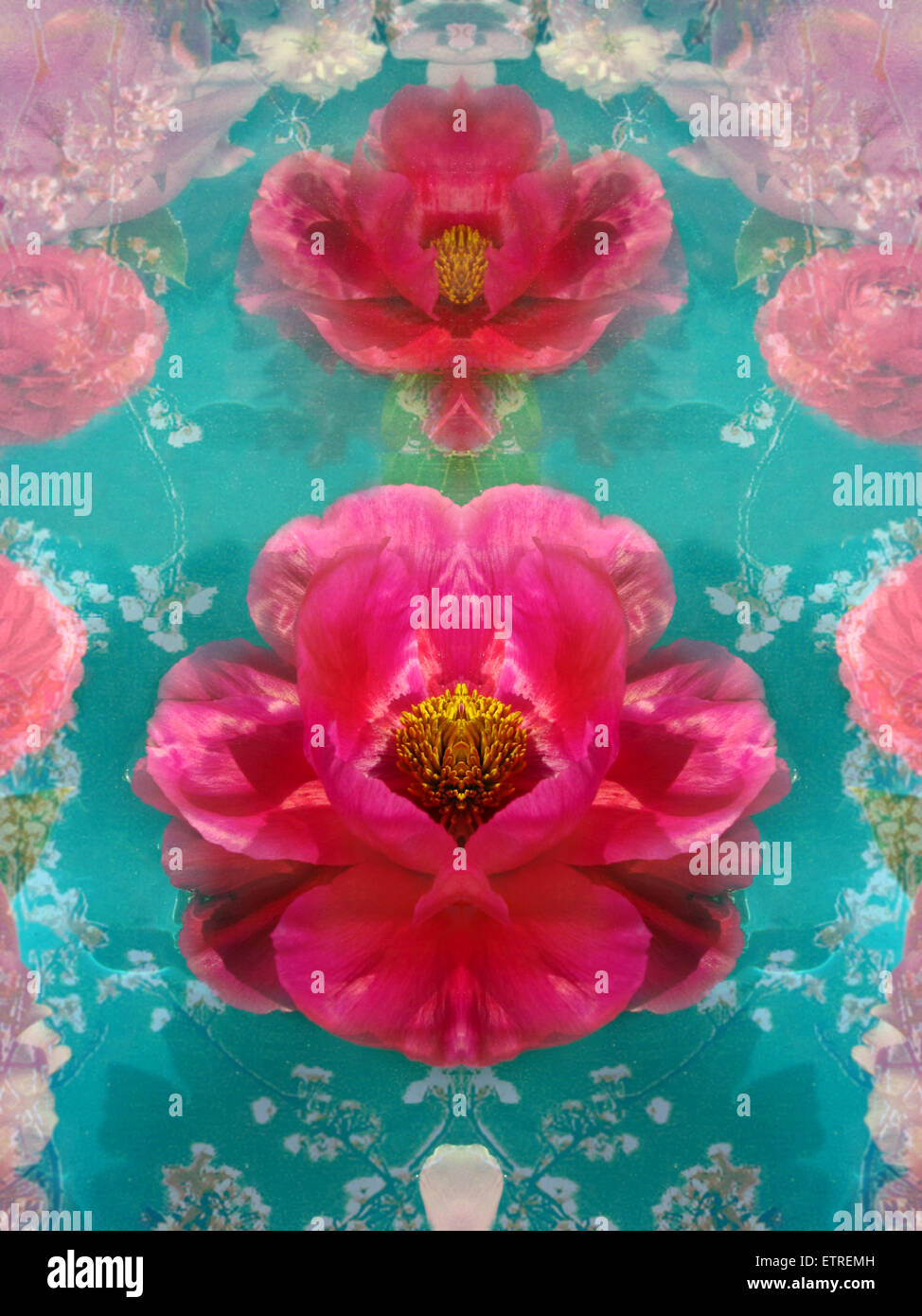 An impressionistic and dreamy Floral Montage, delicate layer work from ...