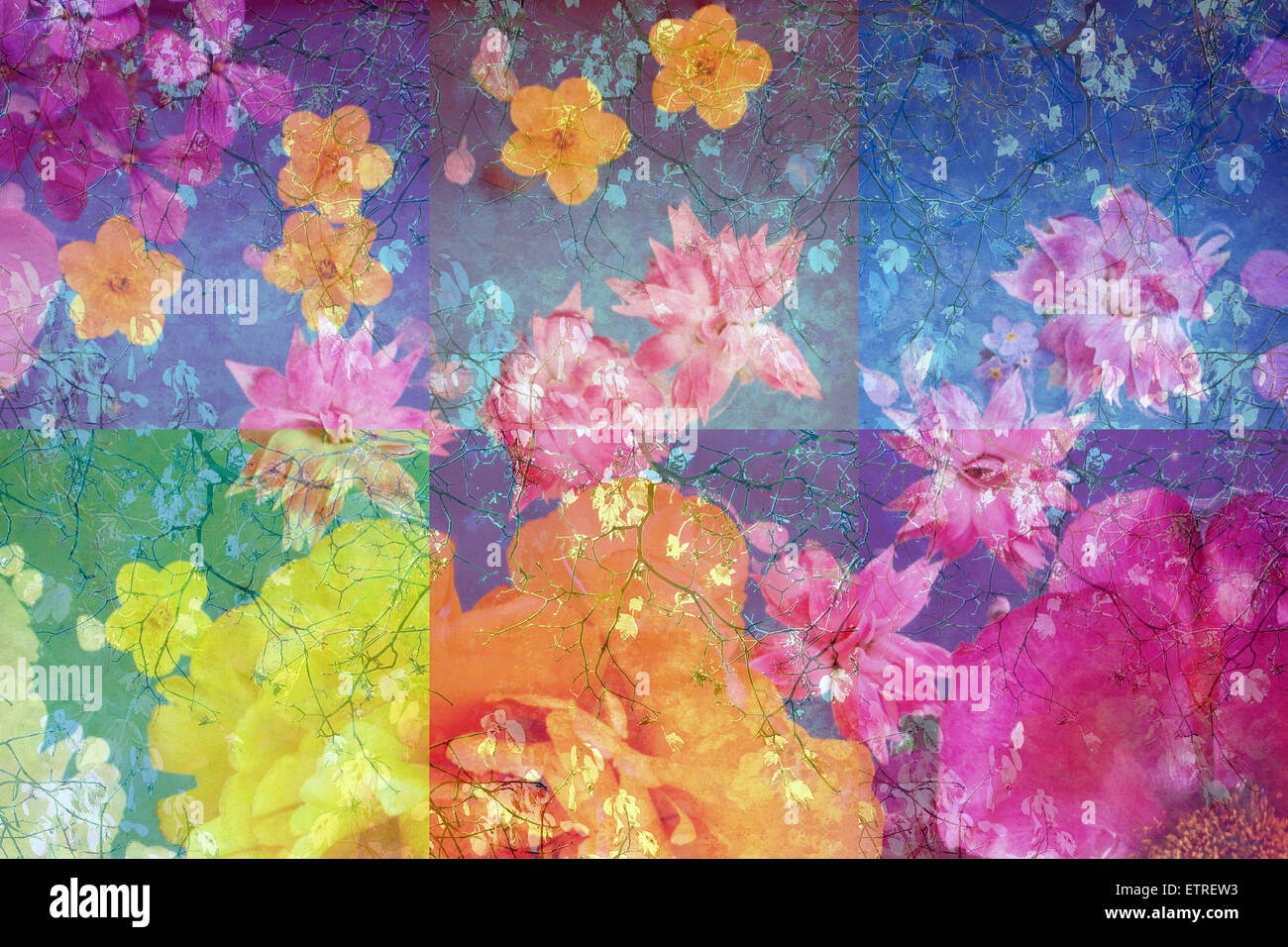 photographic layer work from flowers and trees Stock Photo - Alamy