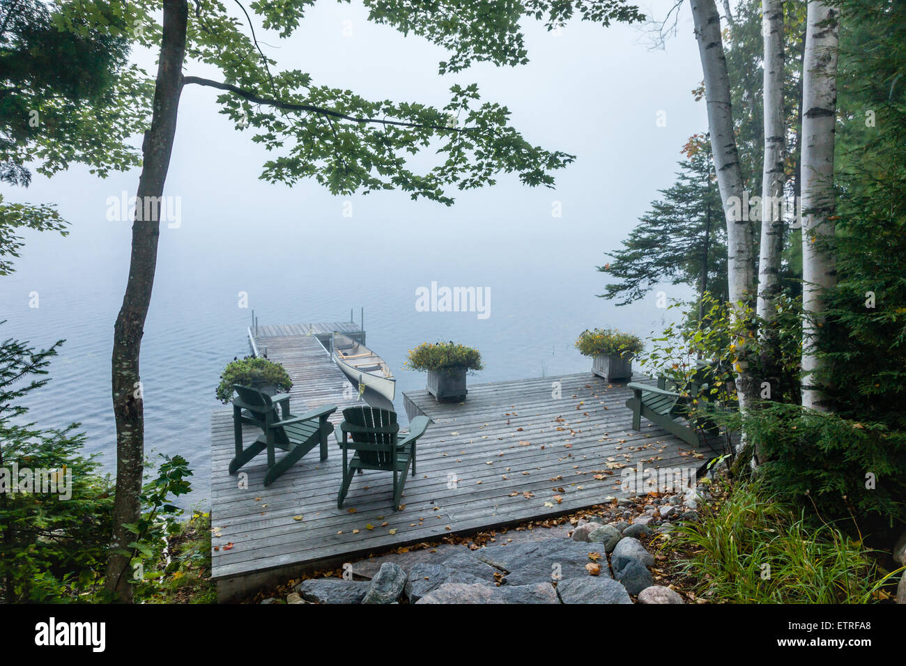 Early morning view of dock with birch trees, deck chairs and fog on the ...