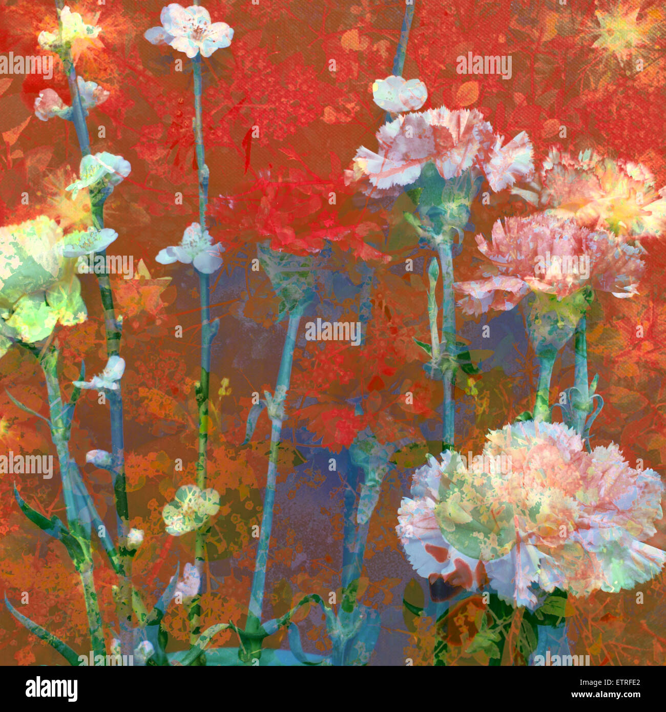 A Floral Montage Stock Photo - Alamy