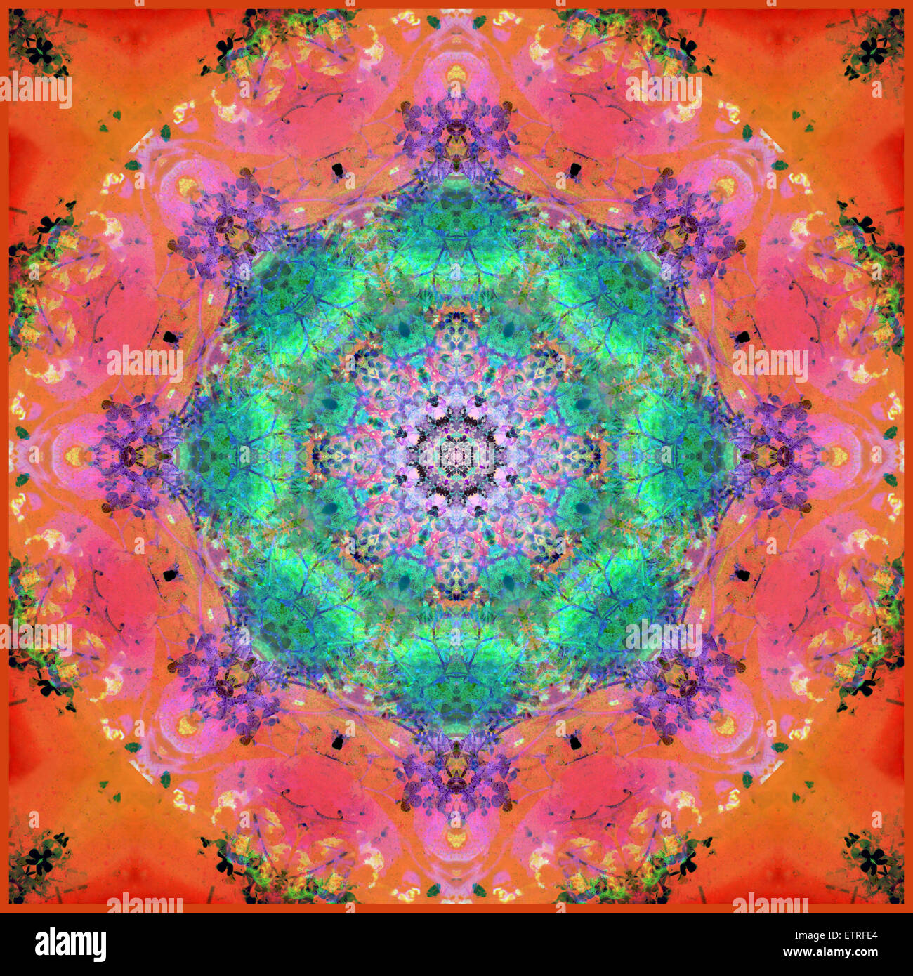 A Floral Montage Stock Photo - Alamy