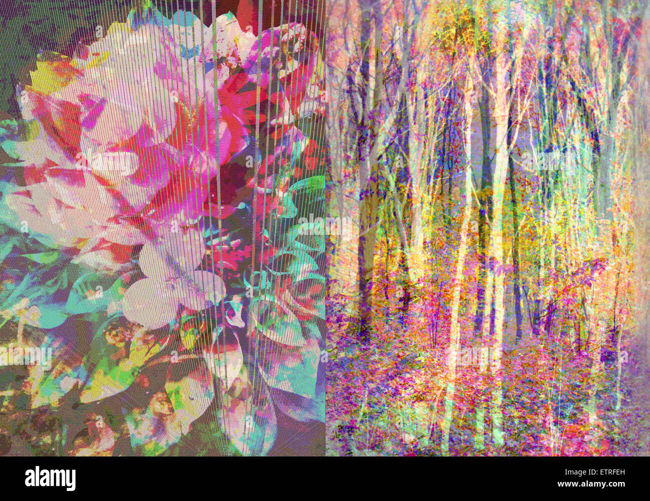 A Floral Montage Stock Photo - Alamy