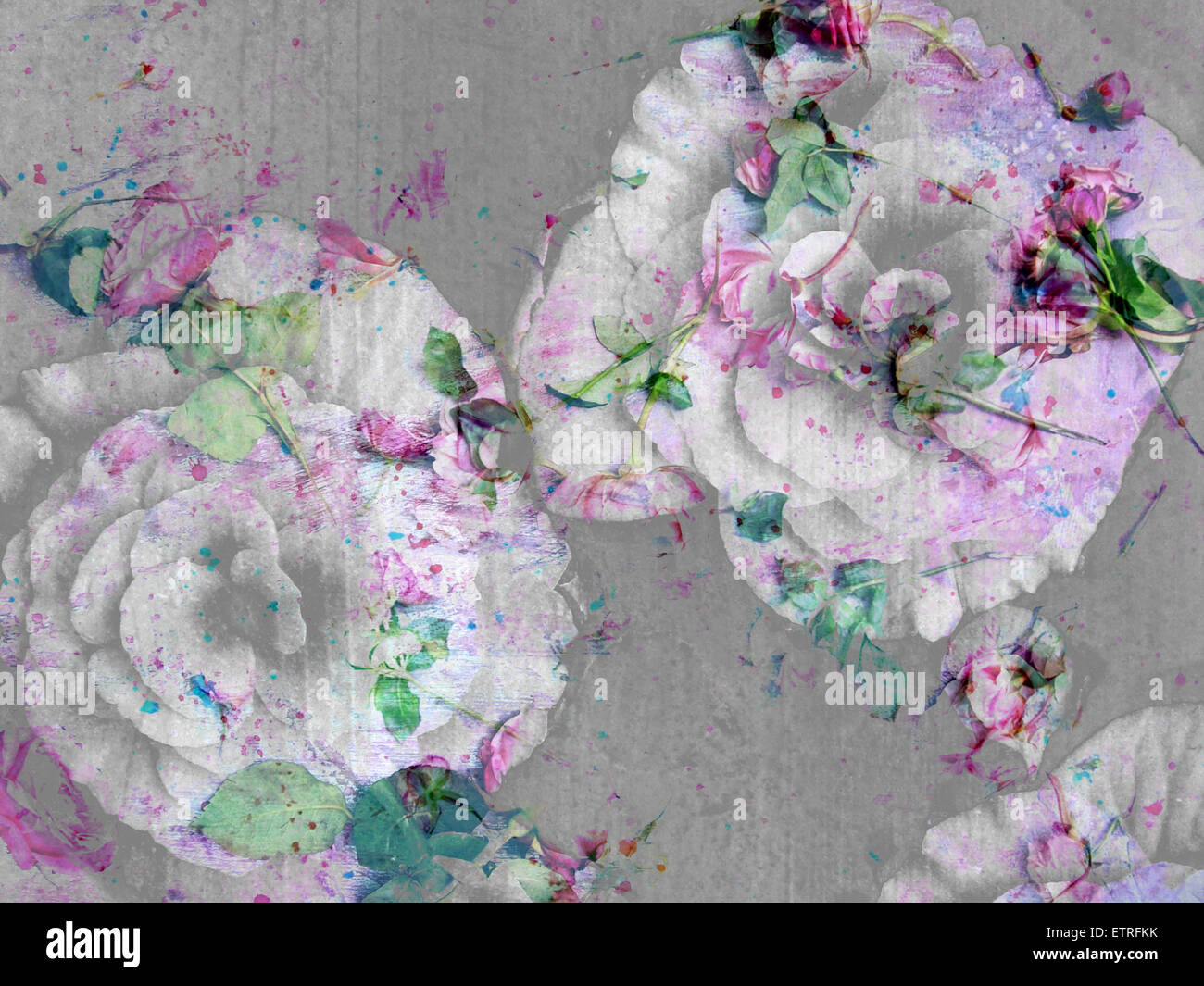 a poetic floral montage from pink roses and begonia blossoms on painted ...