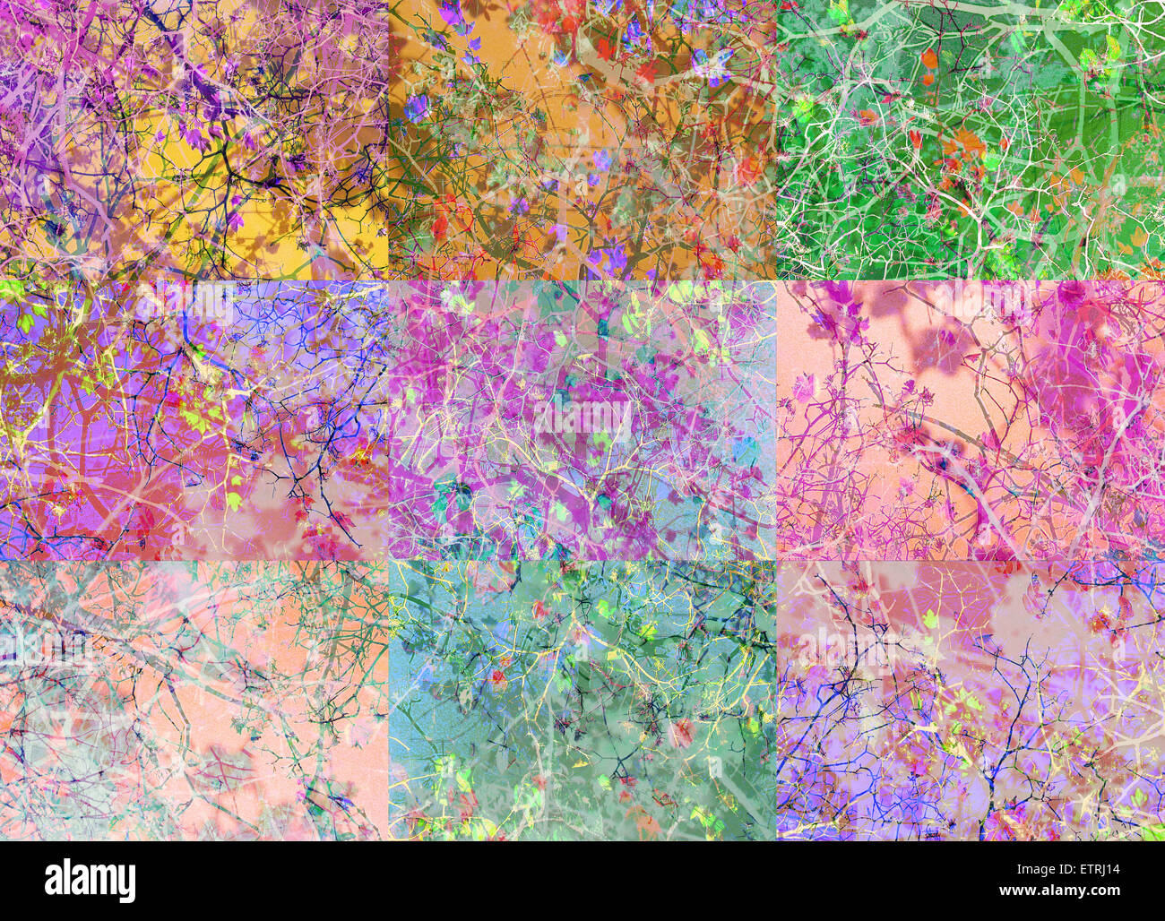 collage from layered trees in multicolor Stock Photo - Alamy