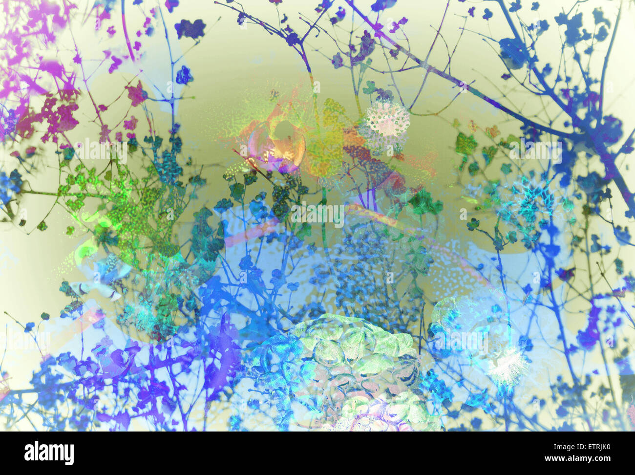 Floral knot hi-res stock photography and images - Alamy