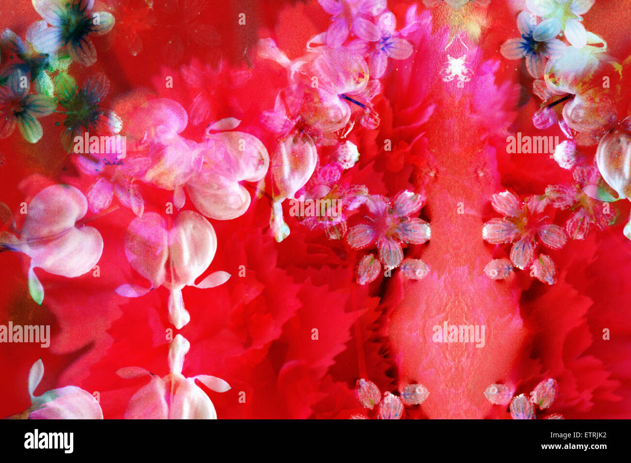 Red layer hi-res stock photography and images - Alamy