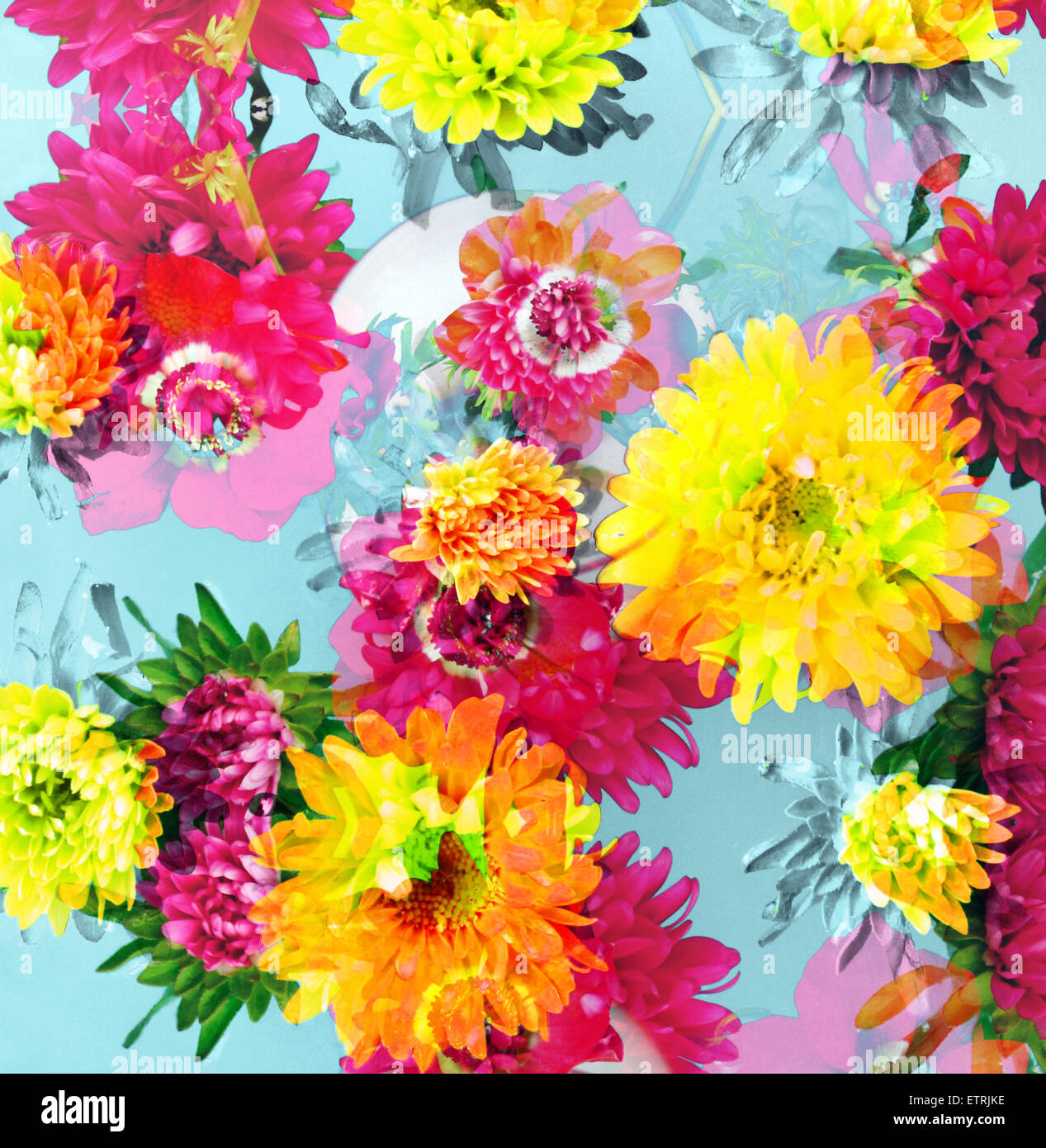 A Floral Montage Stock Photo - Alamy