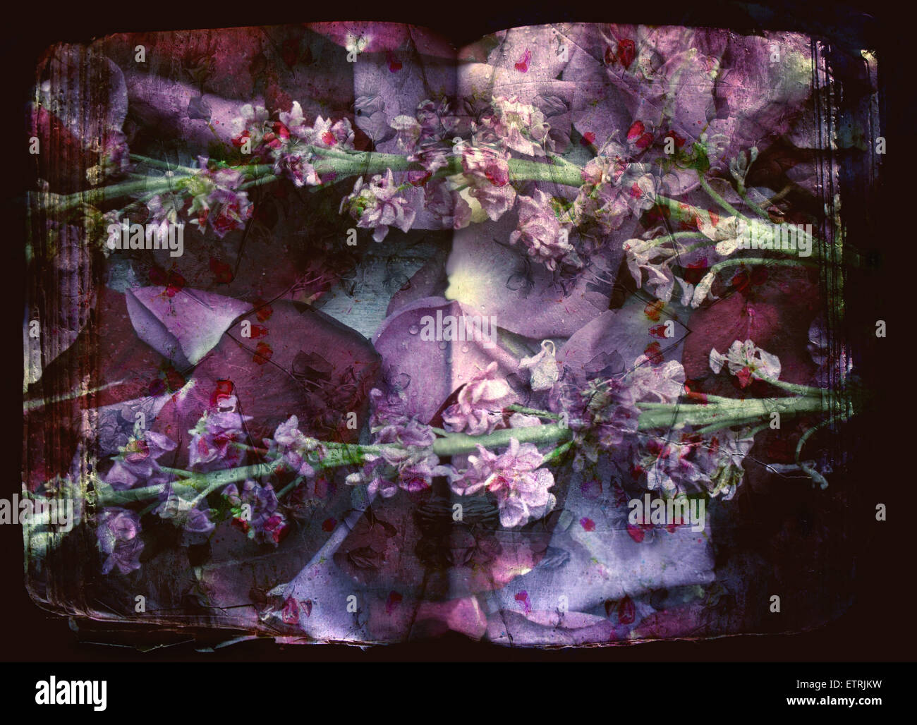A Floral Montage on an open Book Stock Photo - Alamy