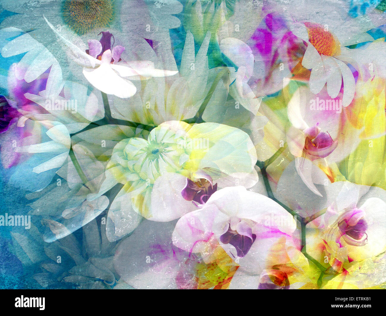 Multicolor composition hi-res stock photography and images - Alamy