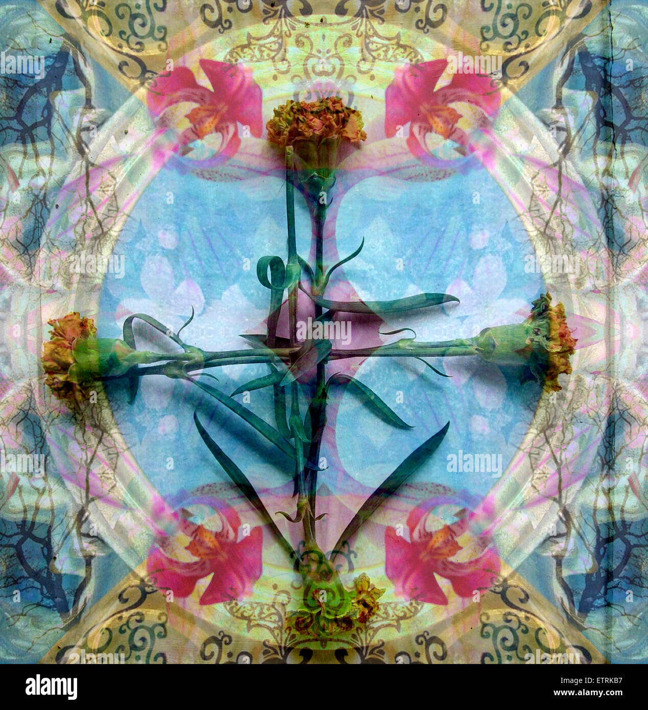 A Floral Montage Stock Photo - Alamy