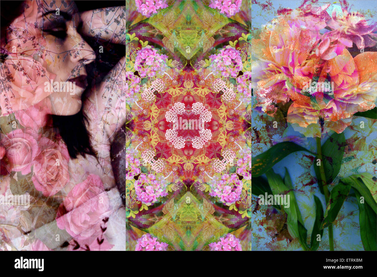 tryptich from portrait flowers ornaments Stock Photo - Alamy
