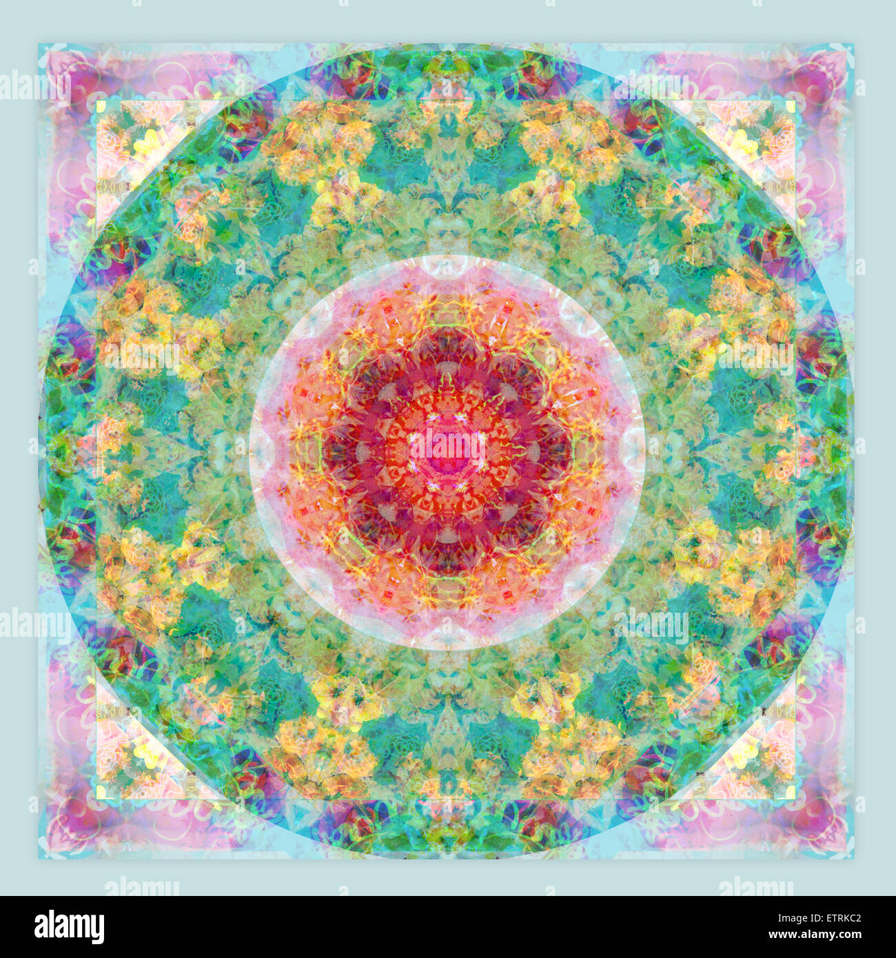 Floral Ornament Circle Stock Photo - Alamy