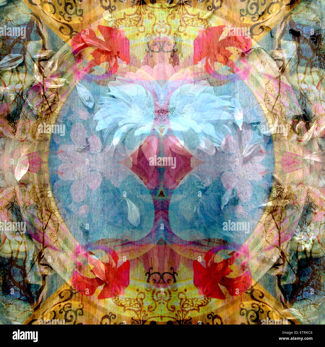 A Floral Montage Stock Photo - Alamy