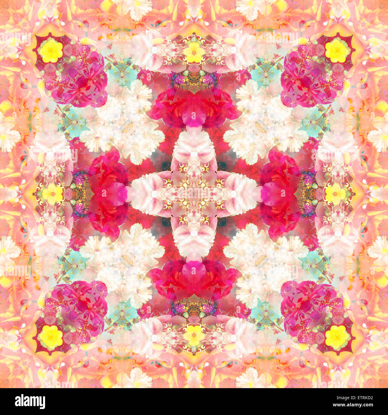 A Floral Montage, layer work from pink and red poeny blossoms and pink ...