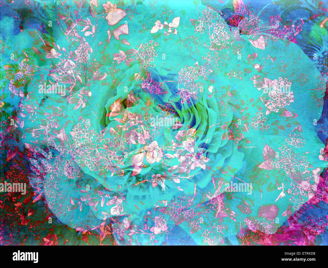 A Floral Montage Stock Photo - Alamy